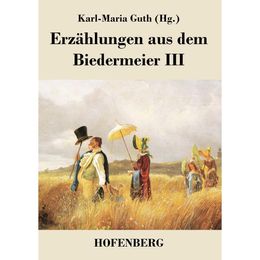 Hofenberg Erz&auml;hlungen aus dem Biedermeier III