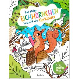 Mal doch mal! - Das kleine Eichh&ouml;rnchen besucht die Tierkinder