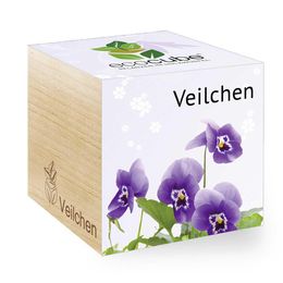 Pflanzw&uuml;rfel &raquo;Veilchen&laquo;