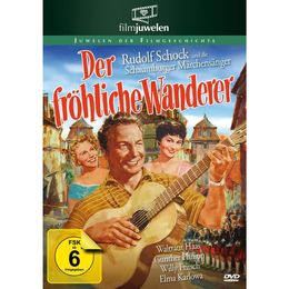 DVD &raquo;Der fr&ouml;hliche Wanderer&laquo;