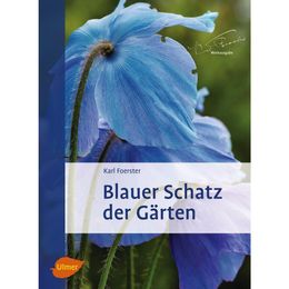 Blauer Schatz der G&auml;rten