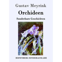 Hofenberg Orchideen
