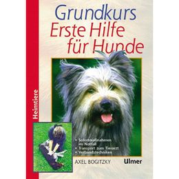Grundkurs Erste Hilfe f&uuml;r den Hund