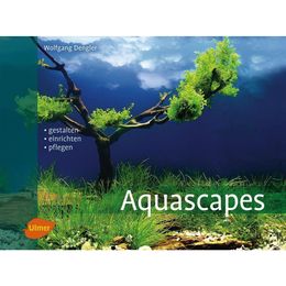 Aquascapes