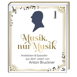 Musik, nur Musik