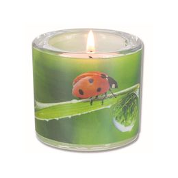 LichtMoment "Veel Geluk" (1 St&uuml;ck)