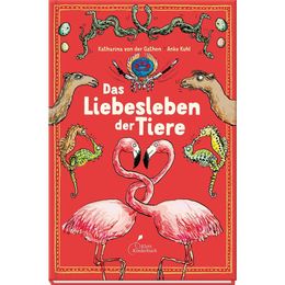 Klett Kinderbuch Das Liebesleben der Tiere