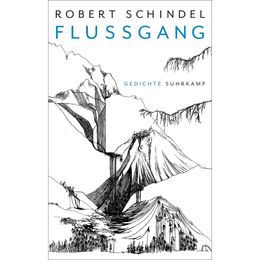 Flussgang