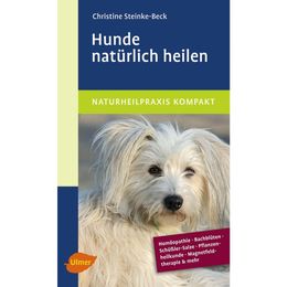 Hunde nat&uuml;rlich heilen