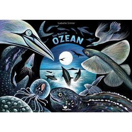 Eine Nacht im Ozean
