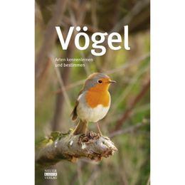 V&ouml;gel