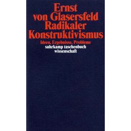 Radikaler Konstruktivismus