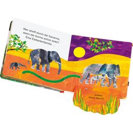 GERSTENBERG Die kleine Raupe Nimmersatt - Wo verstecken sich die wilden Tiere?