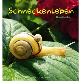 Schneckenleben