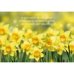 Gl&uuml;ckwunschkarte zu Ostern - Osterfreude (6 St&uuml;ck)
