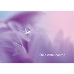 Trauerkarte - Stille Anteilnahme (6 St&uuml;ck)