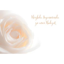 Gl&uuml;ckwunschkarte - Herzliche Segensw&uuml;nsche zu eurer Hochzeit (6 St&uuml;ck)
