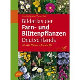 Bildatlas der Farn- und Bl&uuml;tenpflanzen Deutschlands