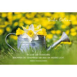 Gl&uuml;ckwunschkarte - Frohe Ostern (6 St&uuml;ck)