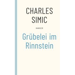 Gr&uuml;belei im Rinnstein