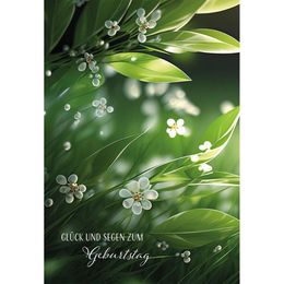Gl&uuml;ckwunschkarte - Gl&uuml;ck und Segen zum Geburtstag (6 St&uuml;ck)