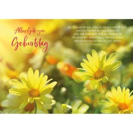 Postkarte - Alles Gute zum Geburtstag (10 St&uuml;ck)