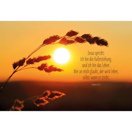 Trauerkarte - Jesus spricht: Ich bin die Auferstehung... (6 St&uuml;ck)