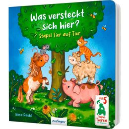 Esslinger Was versteckt sich hier?