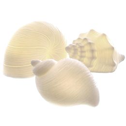 3er-Set &raquo;Muscheln&laquo;