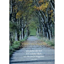 Trauerkarte - Ich stehe bei dir... (6 St&uuml;ck)