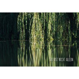 Trauerkarte - Du bist nicht allein (6 St&uuml;ck)