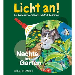 Nachts im Garten
