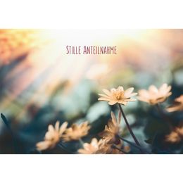 Trauerkarte - Stille Anteilnahme (6 St&uuml;ck)