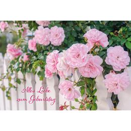 Gl&uuml;ckwunschkarte - Alles Liebe zum Geburtstag (6 St&uuml;ck)