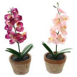 2er-Set Kunst-Orchideen