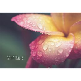 Trauerkarte - Stille Trauer (6 St&uuml;ck)