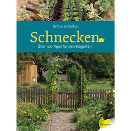 Schnecken