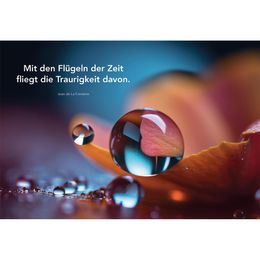 Trauerkarte - Mit den Fl&uuml;geln der Zeit... (6 St&uuml;ck)