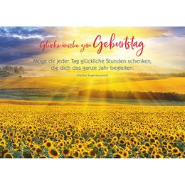 Postkarte - Gl&uuml;ckw&uuml;nsche zum Geburtstag (10 St&uuml;ck)