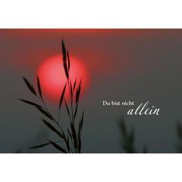 Trauerkarte - Du bist nicht allein (6 St&uuml;ck)