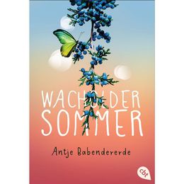Wacholdersommer