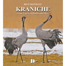 Kraniche