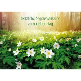 Gl&uuml;ckwunschkarte - Herzliche Segensw&uuml;nsche zum Geburtstag (6 St&uuml;ck)