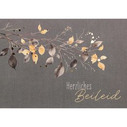 Trauerkarte - Herzliches Beileid (6 St&uuml;ck)