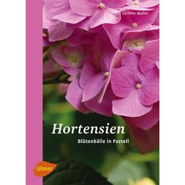 Hortensien
