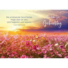 Postkarte - Alles Liebe zum Geburtstag (10 St&uuml;ck)