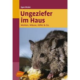 Ungeziefer im Haus