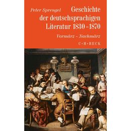 Geschichte der deutschen Literatur Bd. 8: Geschichte der deutschsprachigen Lite...
