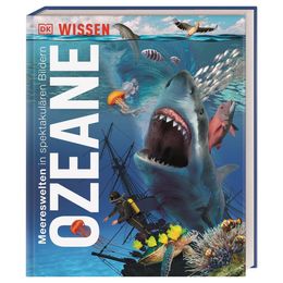Dorling Kindersley DK Wissen. Ozeane