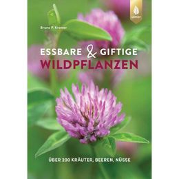 Essbare und giftige Wildpflanzen